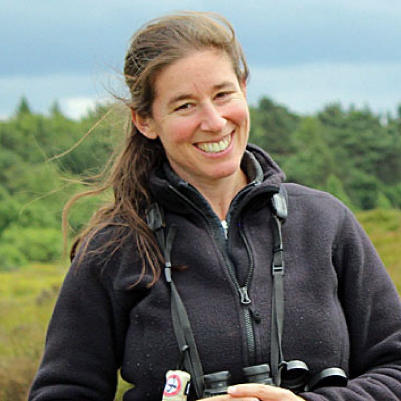 Lerman receives ESA Sustainability Science Award | Robert & Patricia Switzer Foundation