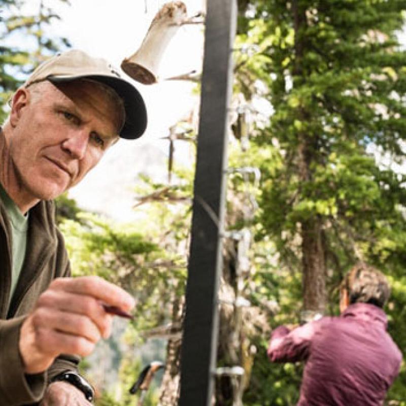 Podcast: Coyotes with Dr. Robert Long | Robert & Patricia Switzer ...