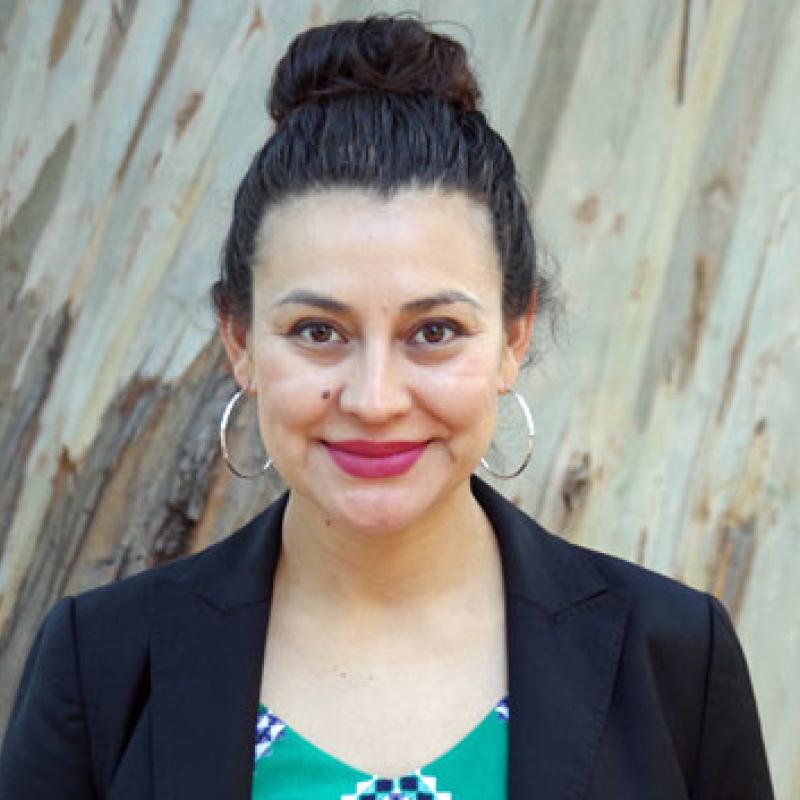 Solis hired by UT Austin School of Architecture as part of race, gender ...