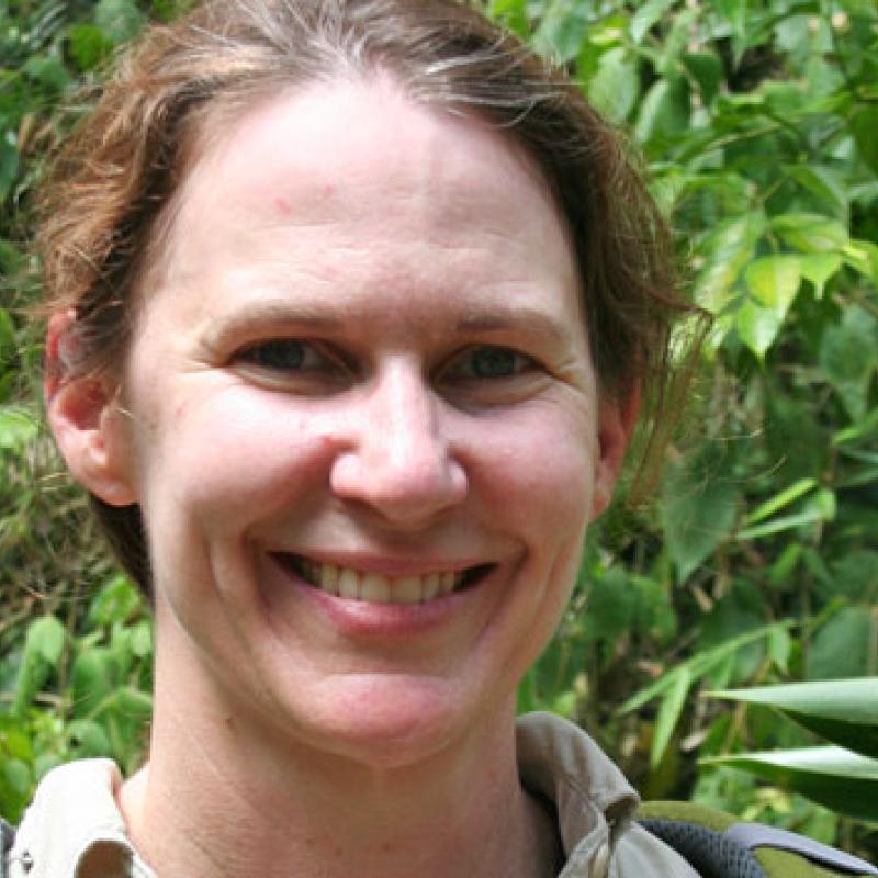 Walker interviewed on Diane Rehm show on global deforestation, illegal logging | Robert ...