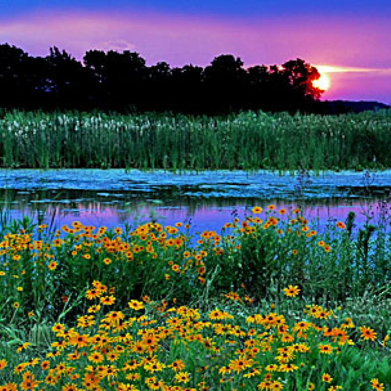 Brenda Zollitsch | Robert & Patricia Switzer Foundation