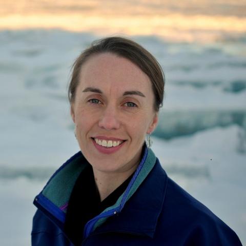 McGreavy's research on race and gender stereotypes in climate-related ...