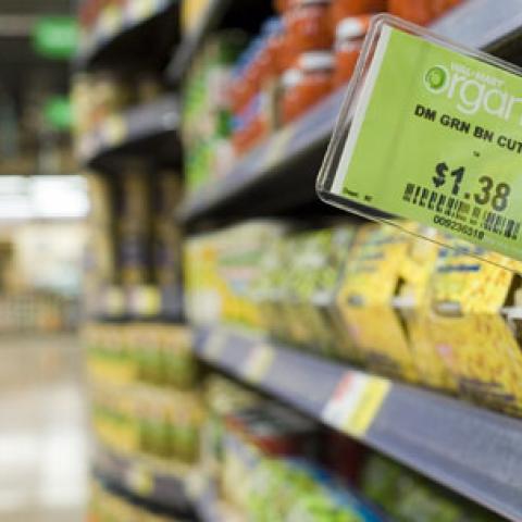 Jessica Shade | Robert & Patricia Switzer Foundation