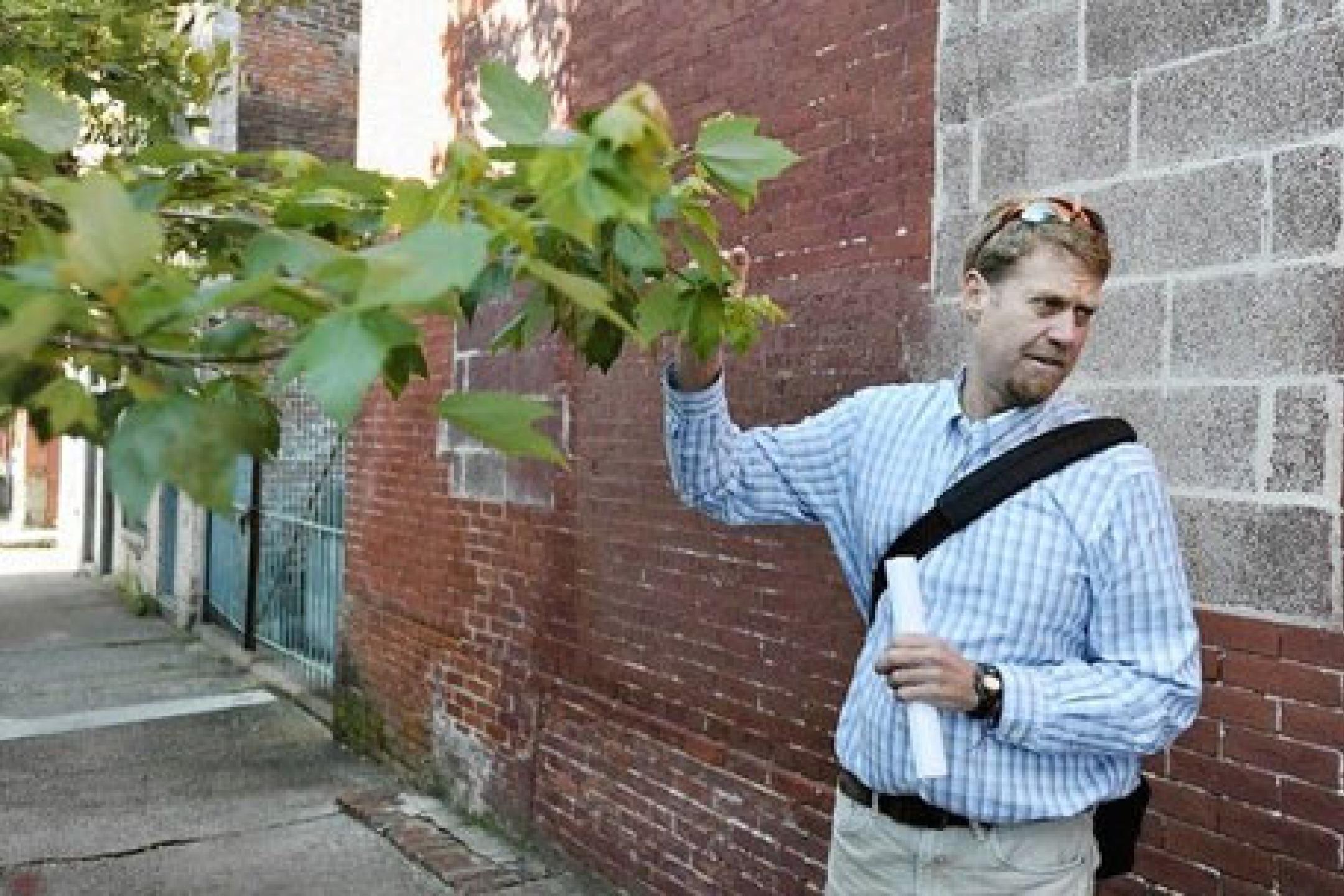 J. Morgan Grove: Parks and tree cover in Baltimore | Robert & Patricia ...