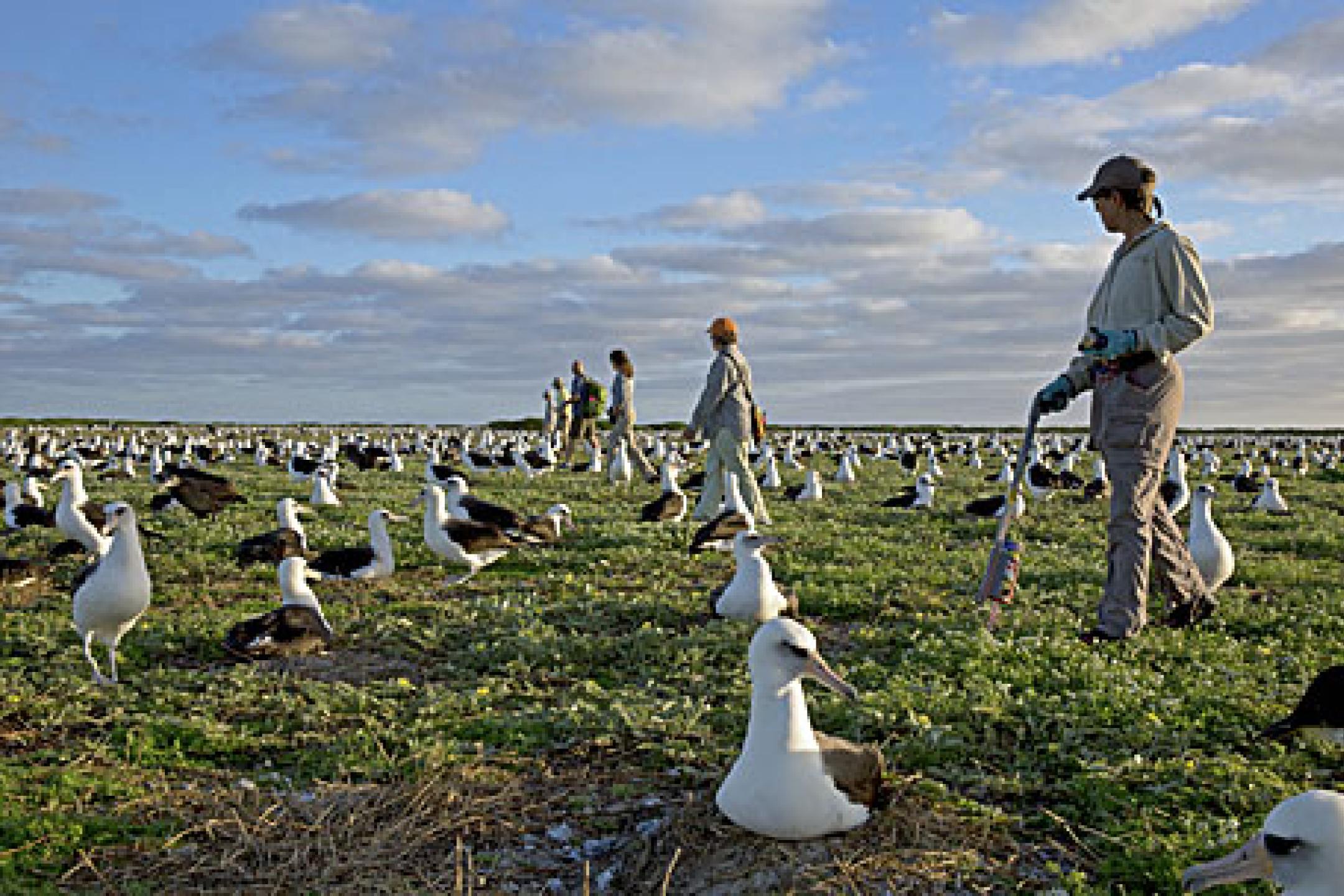 Bringing Climate Change Into Conservation Communications Robert