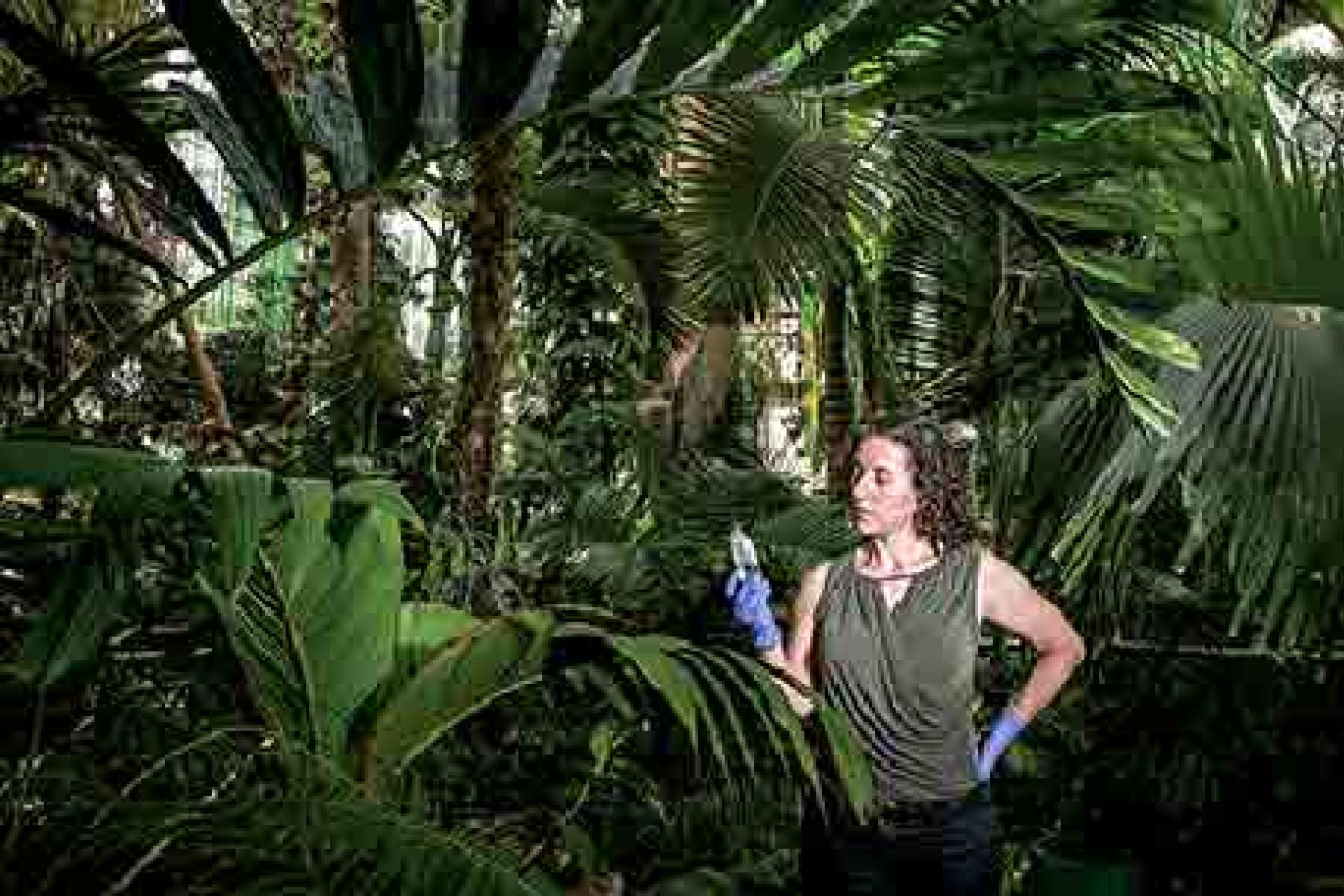 Karen Levy: Aligning science with public service | Robert & Patricia ...