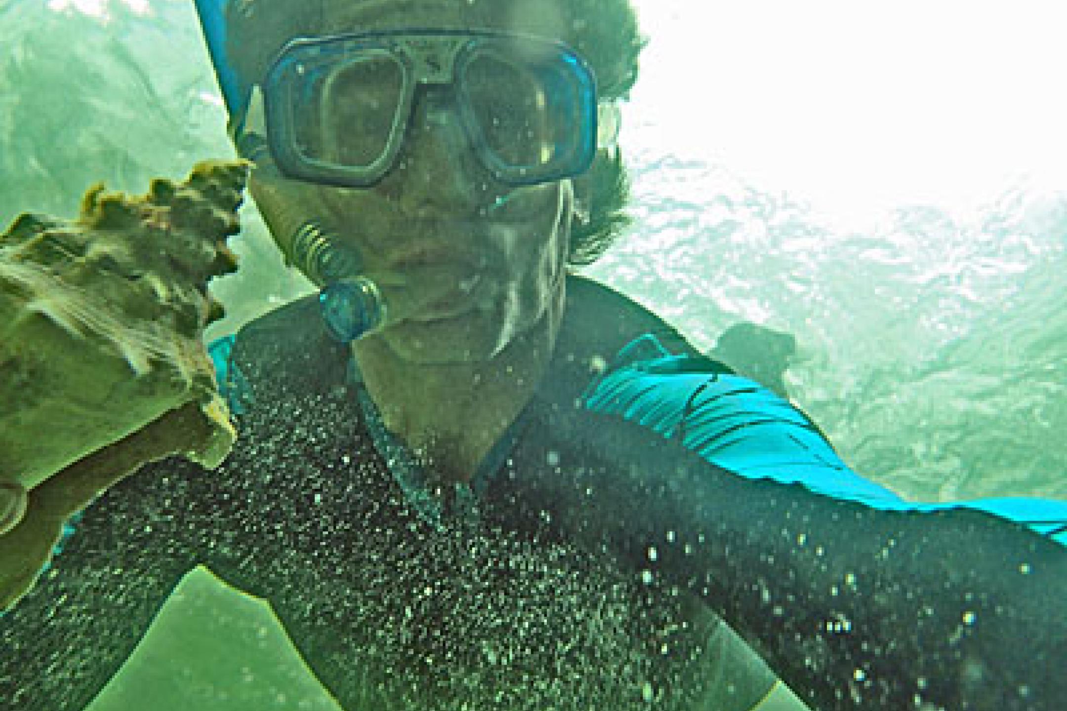 An Ocean in the Desert: RocketHub campaign launched to transform ...