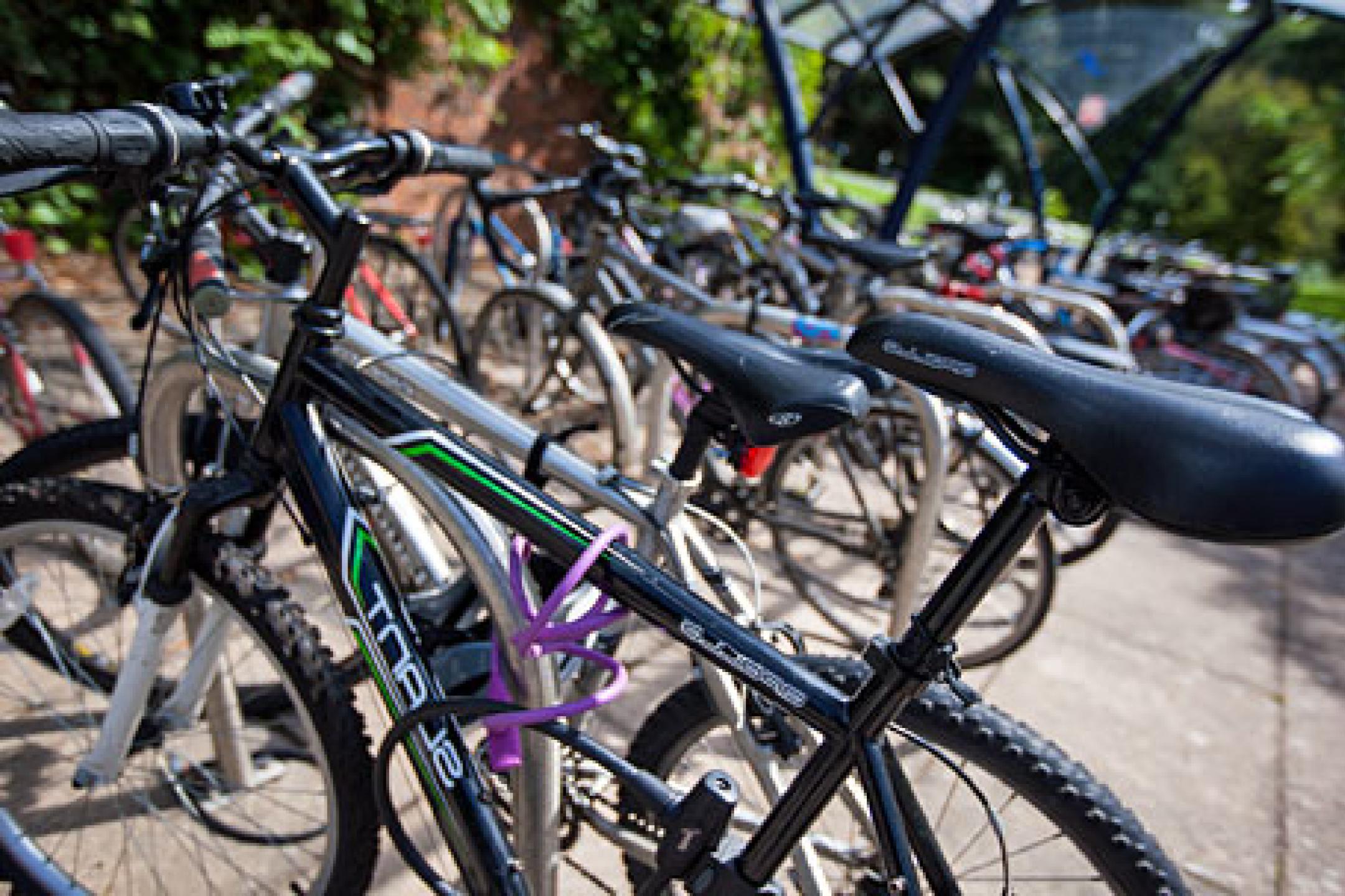 Network Call: Sustainability on Campuses | Robert & Patricia Switzer ...