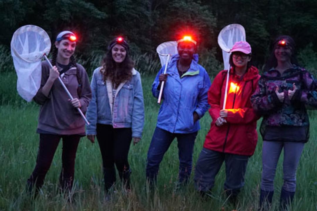 Light pollution: an environmental issue that affects us all | Robert ...